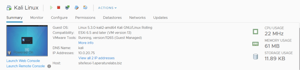 Kali Linux VMware - The Complete 2021 Guide | vMiss.net