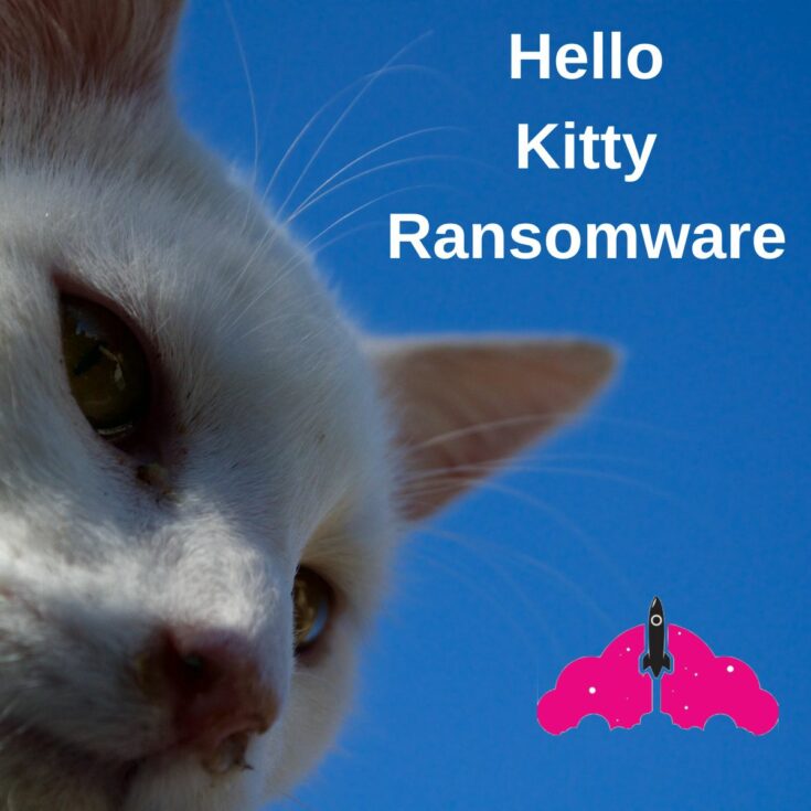 Venus Ransomware | vMiss.net